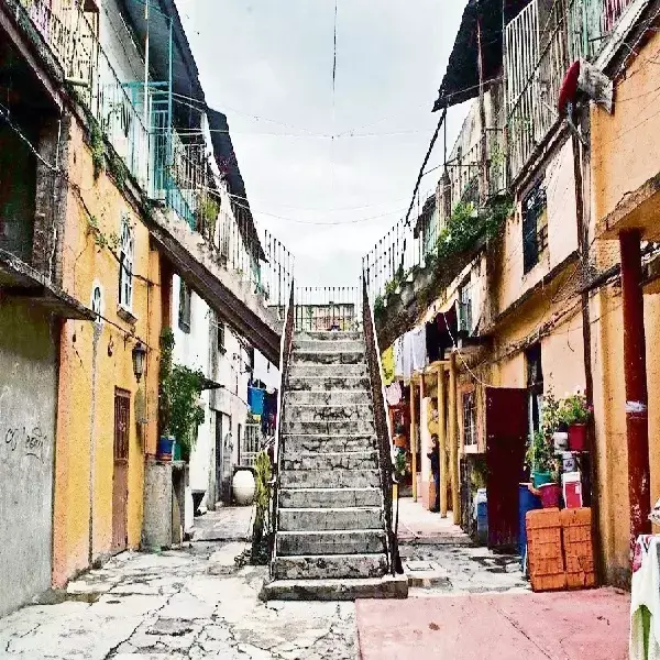 Carta de Vecindad: ¿Qué es y Cómo Obtenerla? y más 2026 elyex