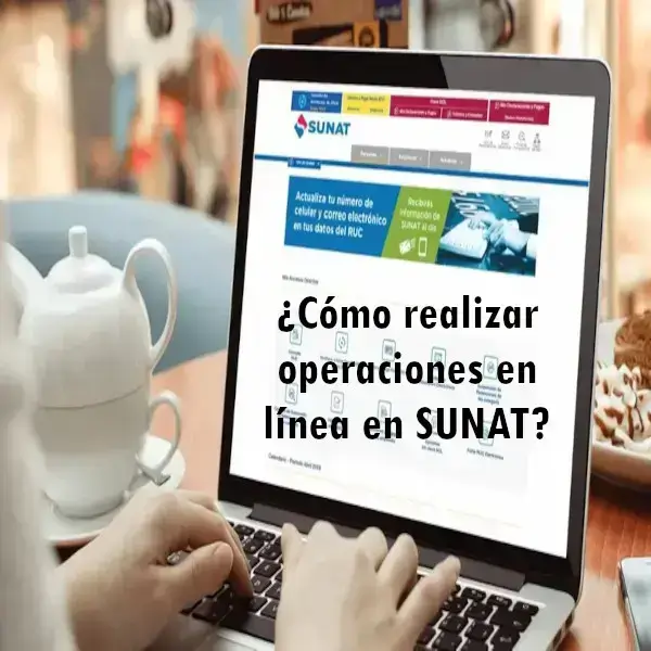 ¿Cómo realizar operaciones en línea en SUNAT? 2025 elyex